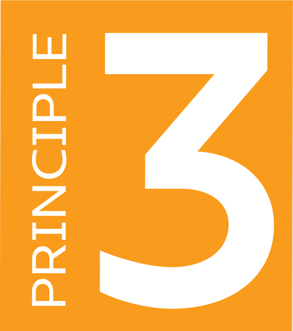 Principle 3 | TESOL | The 6 Principles