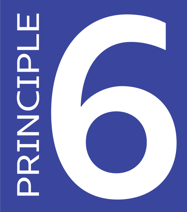 Principle 6 | TESOL | The 6 Principles